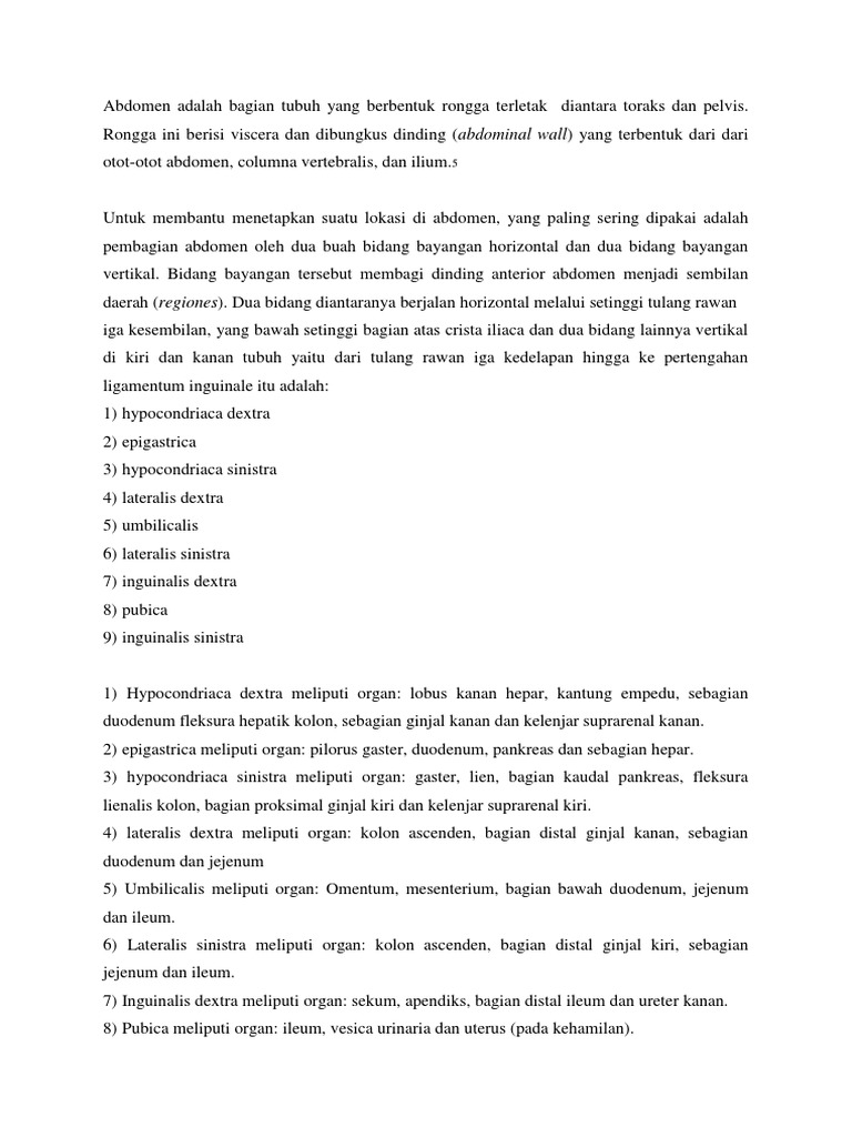 Abdomen Adalah Bagian Tubuh Yang Berbentuk Rongga Terletak Diantara ...
