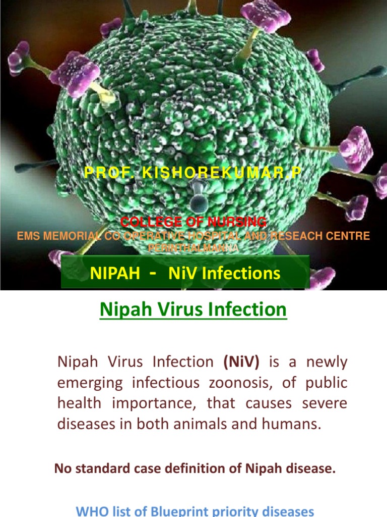 Nipa Virus Infections | PDF | Transmission (Medicine) | Infection
