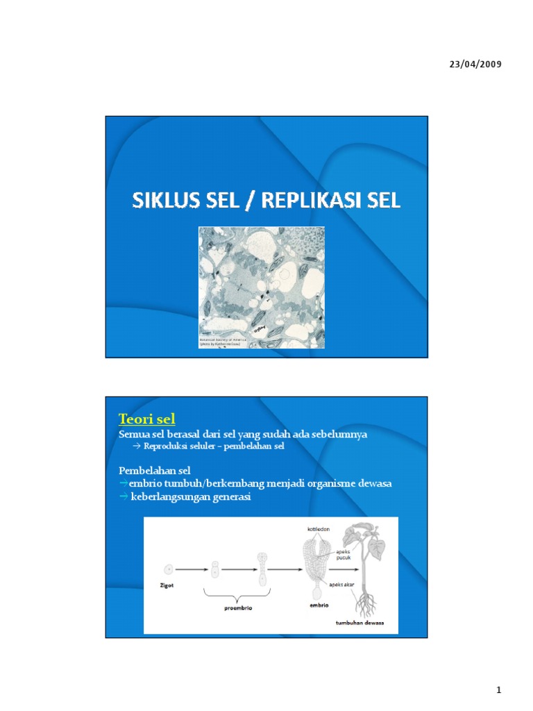 Siklus Sel | PDF