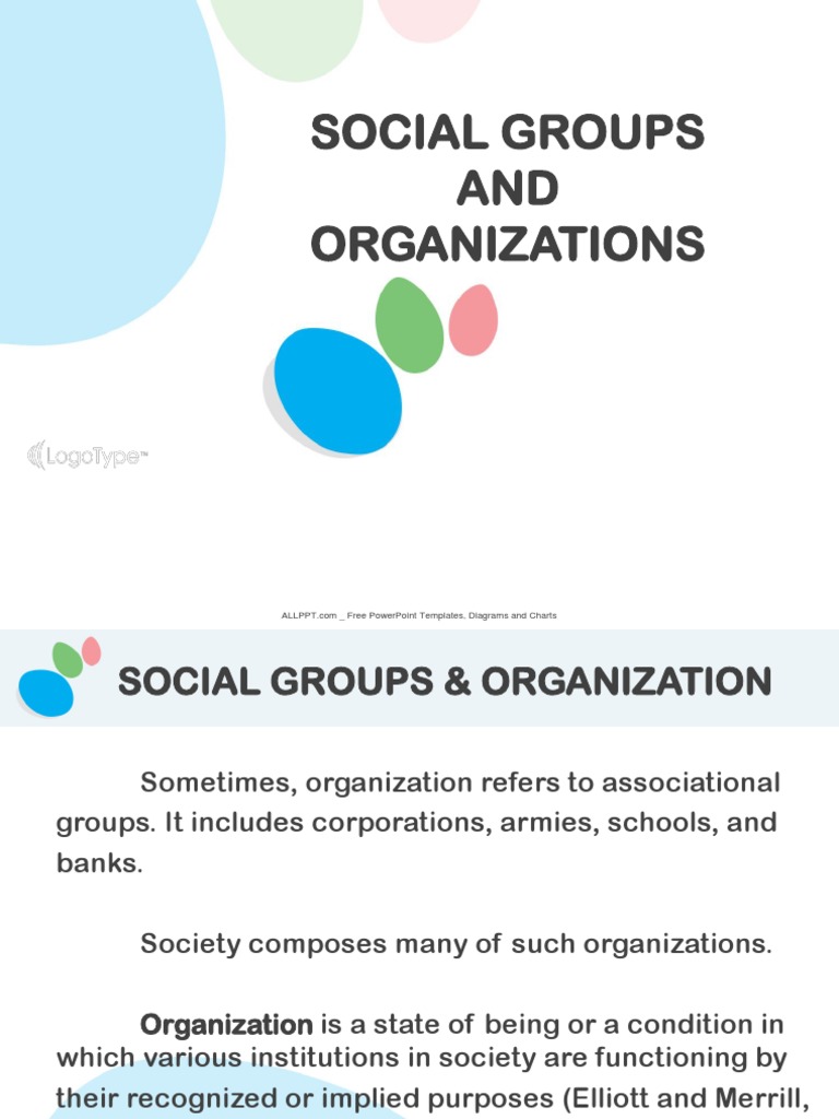 Social Groups and Organization | PDF | Social Group | Social Structure