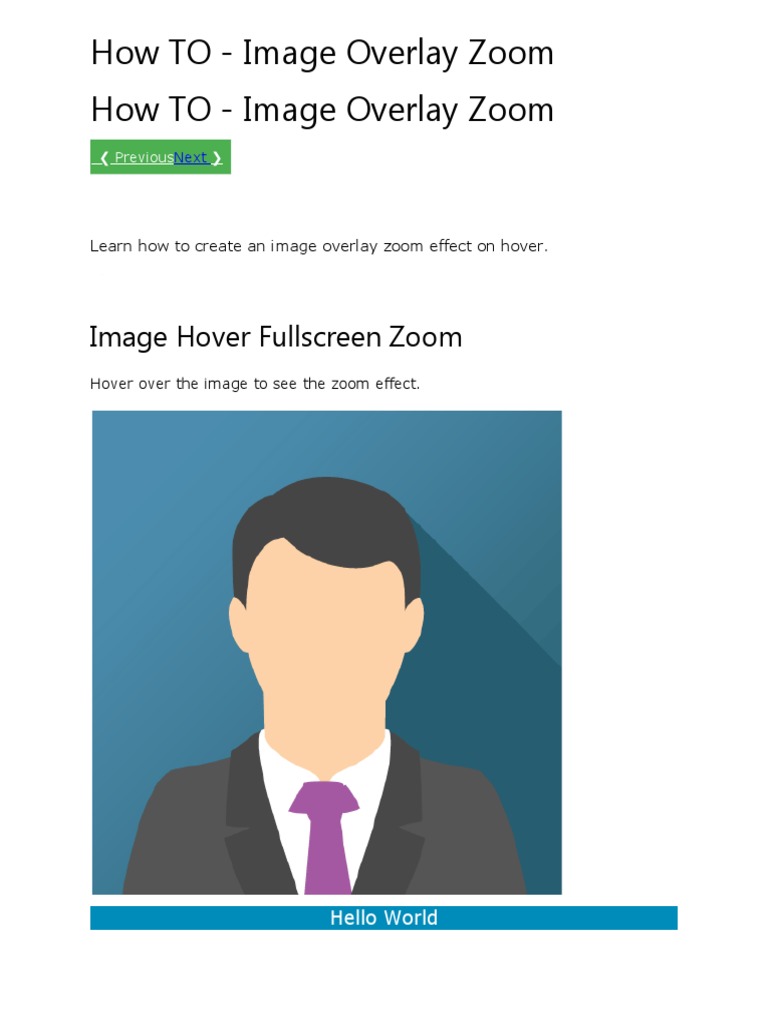 How To - Image Overlay Zoom | PDF