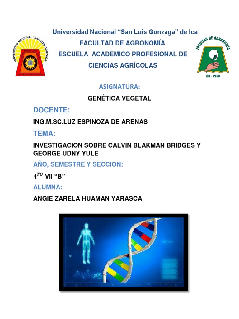 Calvin Black Bridges | PDF | Drosophila melanogaster | Cromosoma