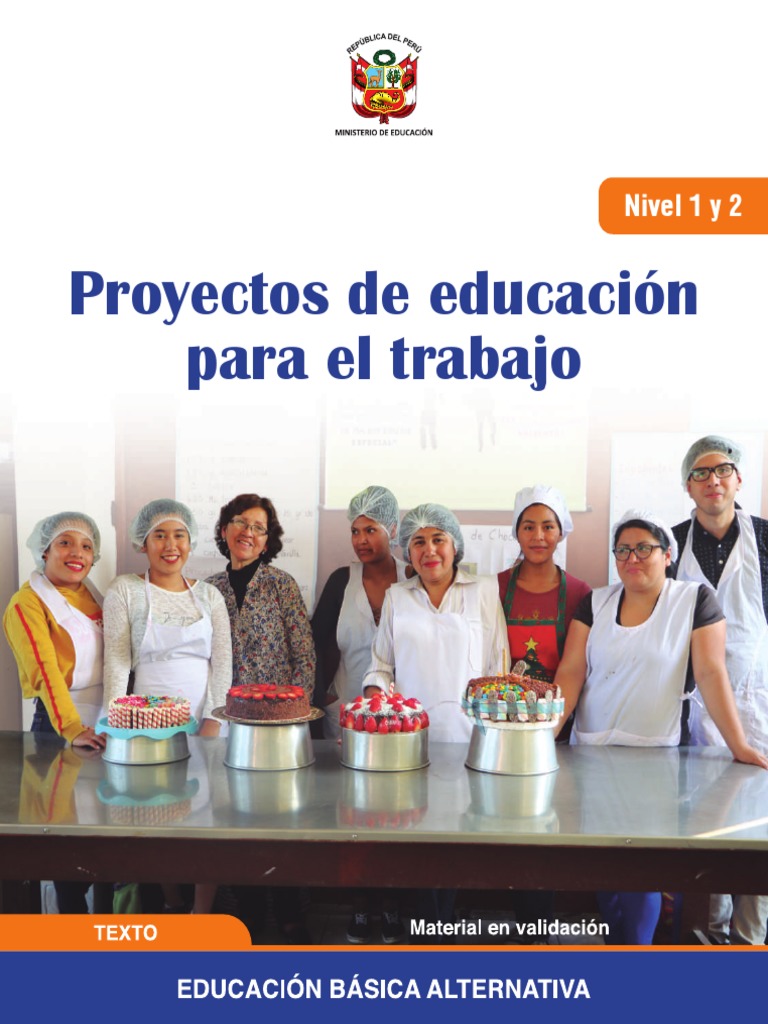 Proyecto-Ept 2019 Con Desempeños PDF | Descargar gratis PDF | Grupo de enfoque | Mercado (economía)