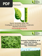 Visita Al Rastro | PDF | Carne | Matadero