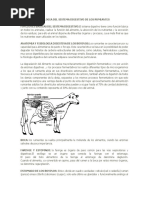 Anatomía Digestiva de las Aves | PDF | Digestión | Bilis