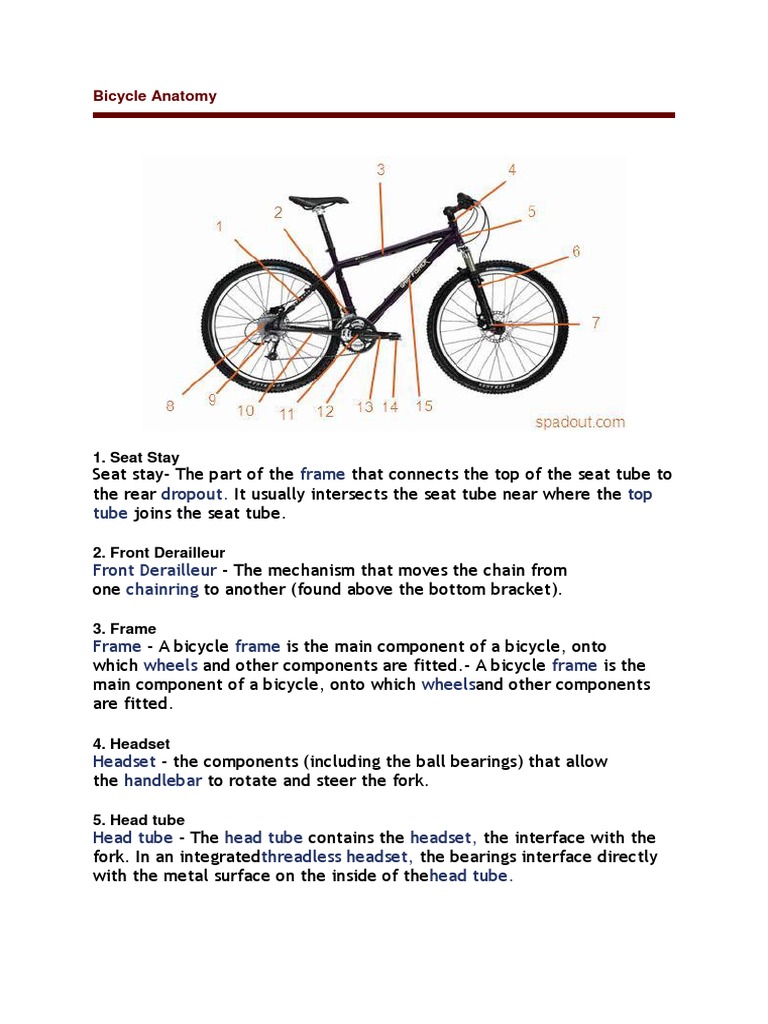 Bicycle Anatomy | PDF