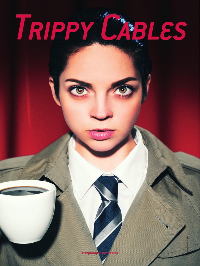 Rippy Ables: Everything Is Connected | PDF | Polymers | Thermoplastic