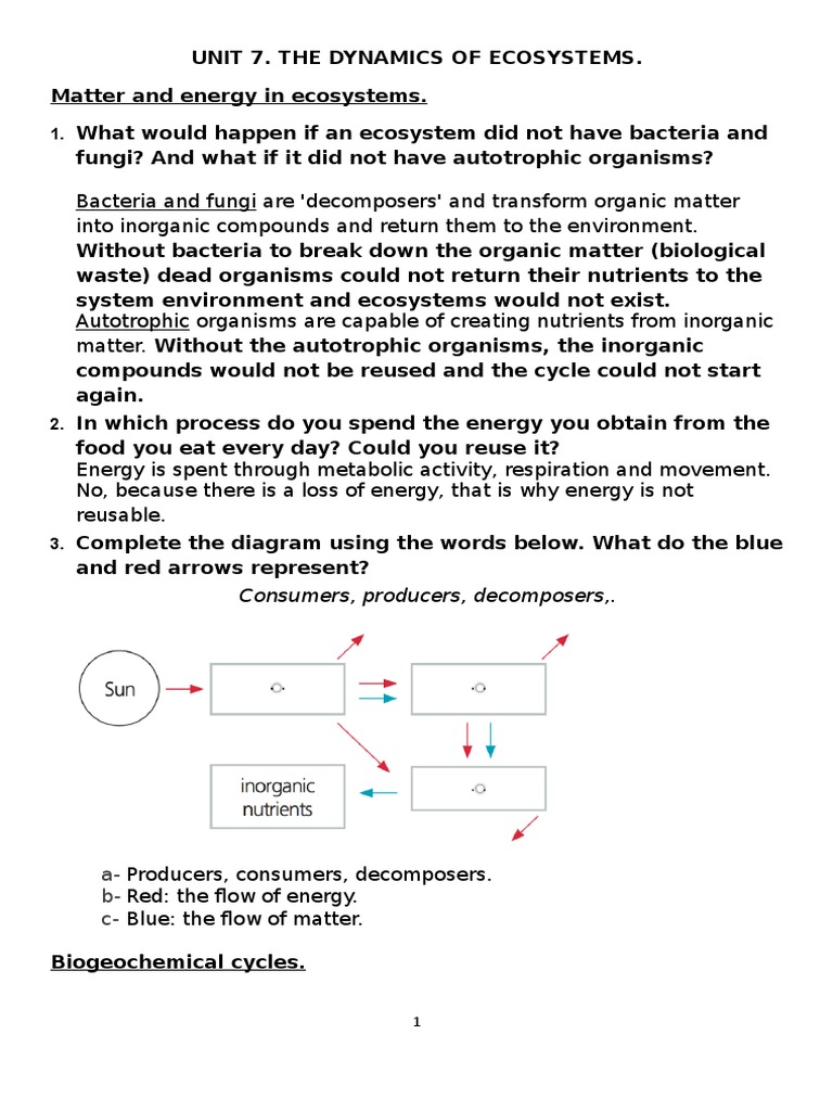 Unit 7. The Dynamics of Ecosystems. | PDF | Food Web | Ecosystem