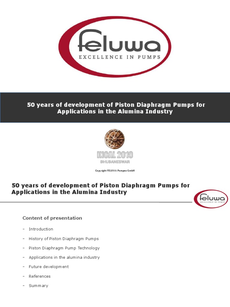 Feluwa Presentation | PDF | Pump | Piston