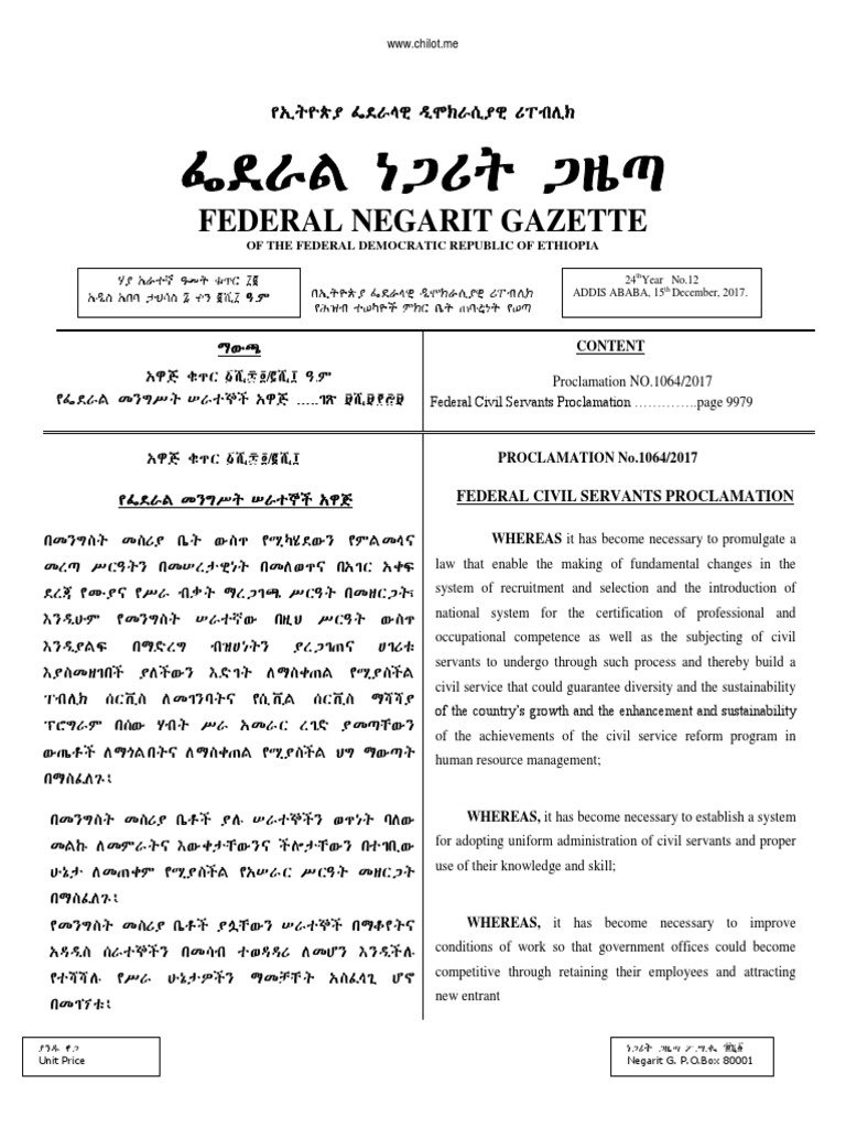 Federal Civil Servants Proclamation 1064 2017 | PDF