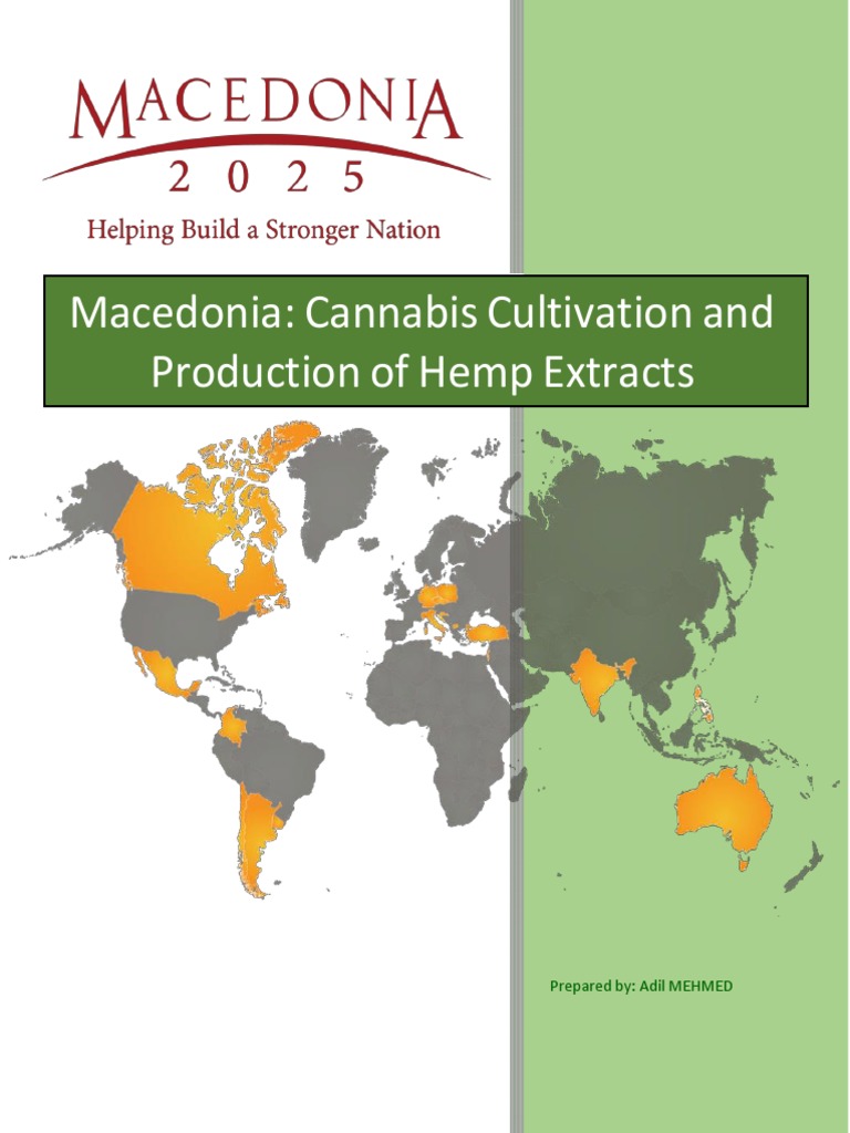 Cannabis Report | PDF | Cannabis | Hemp