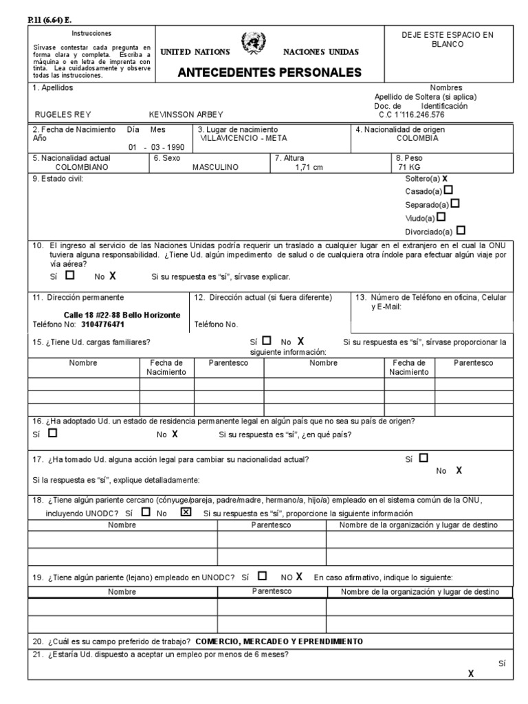 Onudc..... Formato - P11 | PDF | Marketing | Business