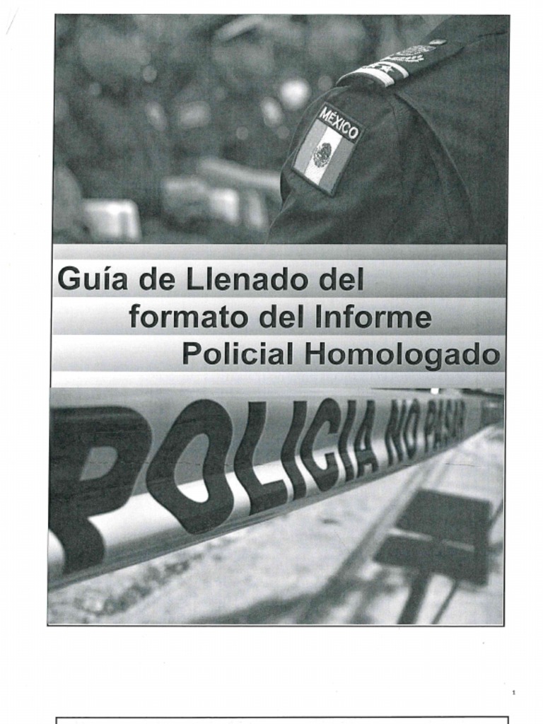 Guia de Llenado Iph-Delitos | PDF