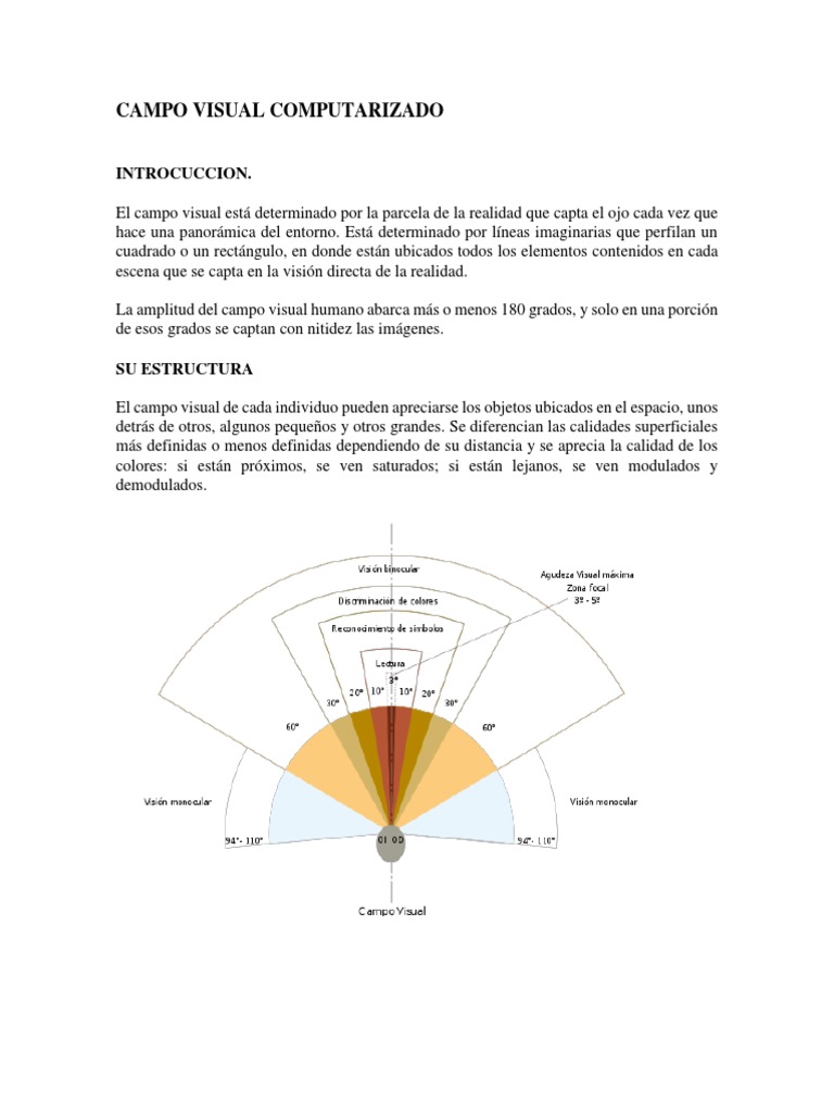 Oftalmologia Pruebas Complementarias | PDF | Visión | Sistema visual