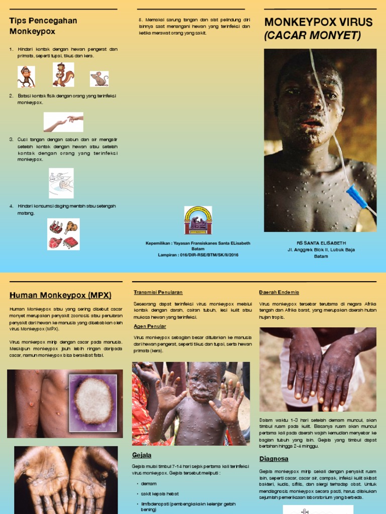 Monkeypox Leaflet | PDF