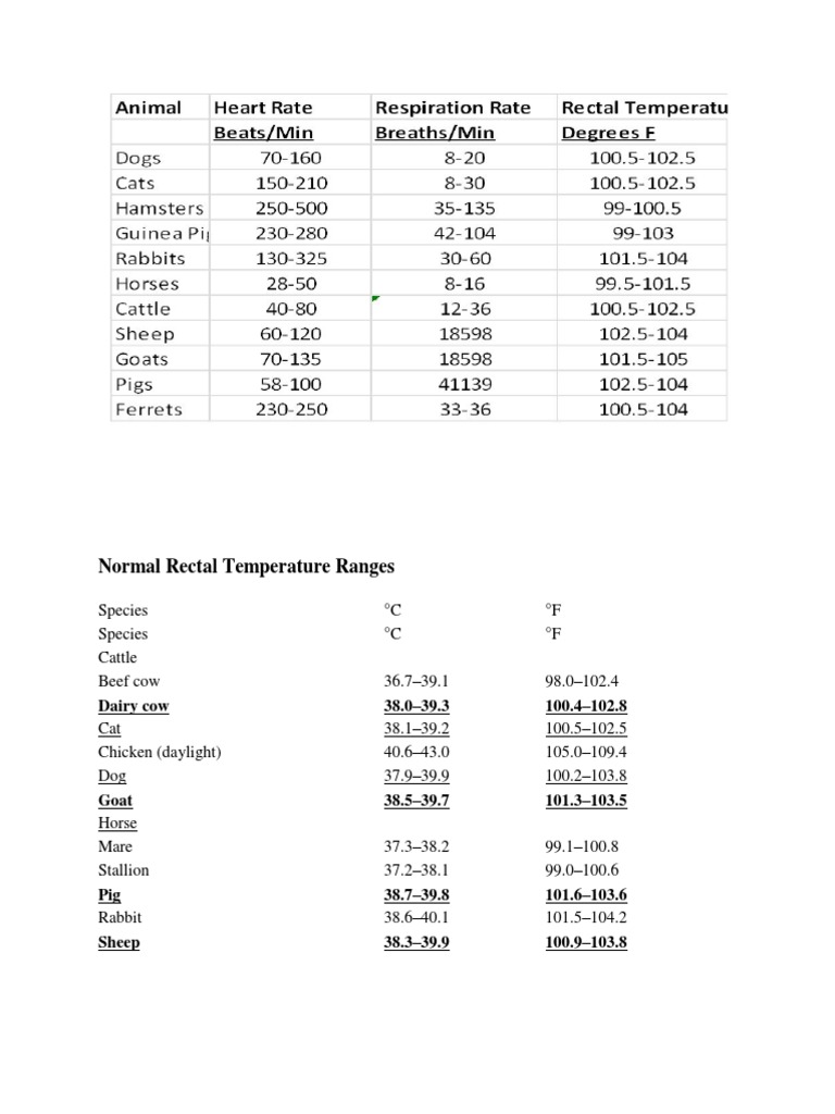 Normal Rectal Temperature Ranges | PDF