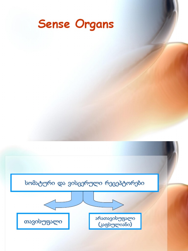 Sense Organs | PDF