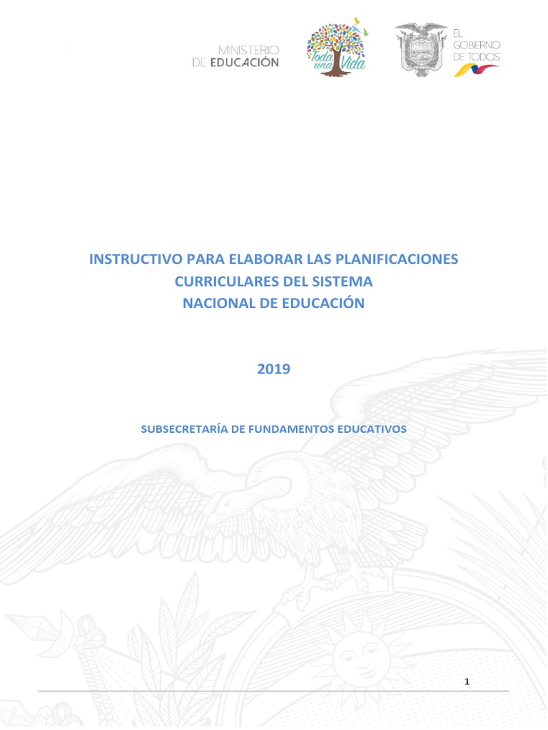 Instructivo de Planificación - 2019 PCI - 23!04!2019 | PDF | Plan de ...