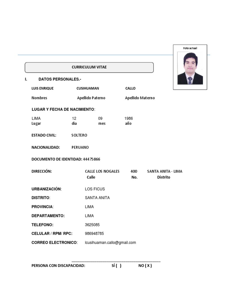 Modelo de Curriculum Vitae Documentado | PDF | Lima | Organización no gubernamental