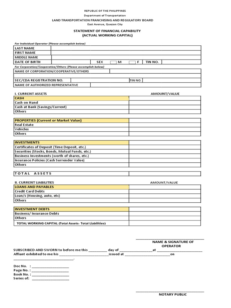 Financial Capability Statement Form | PDF | Debt | Securities (Finance)