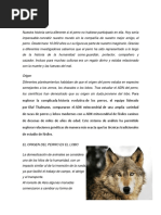 Evolución Del Perro | PDF | Perros | Osos