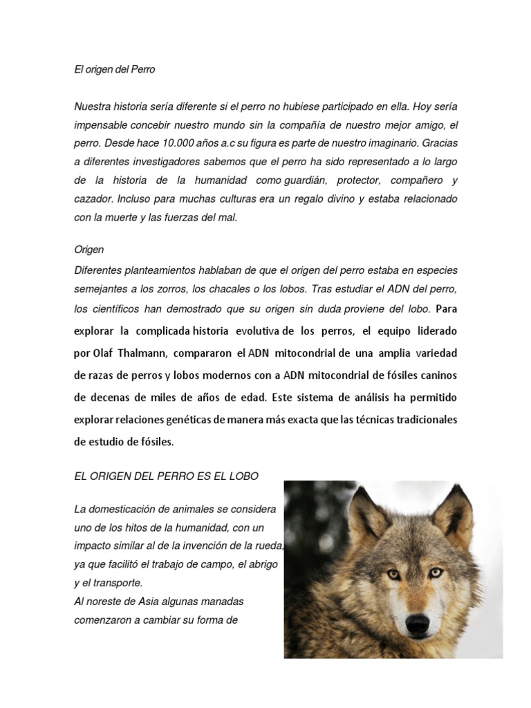 El Origen Del Perro | Descargar gratis PDF | Perros | Domesticación