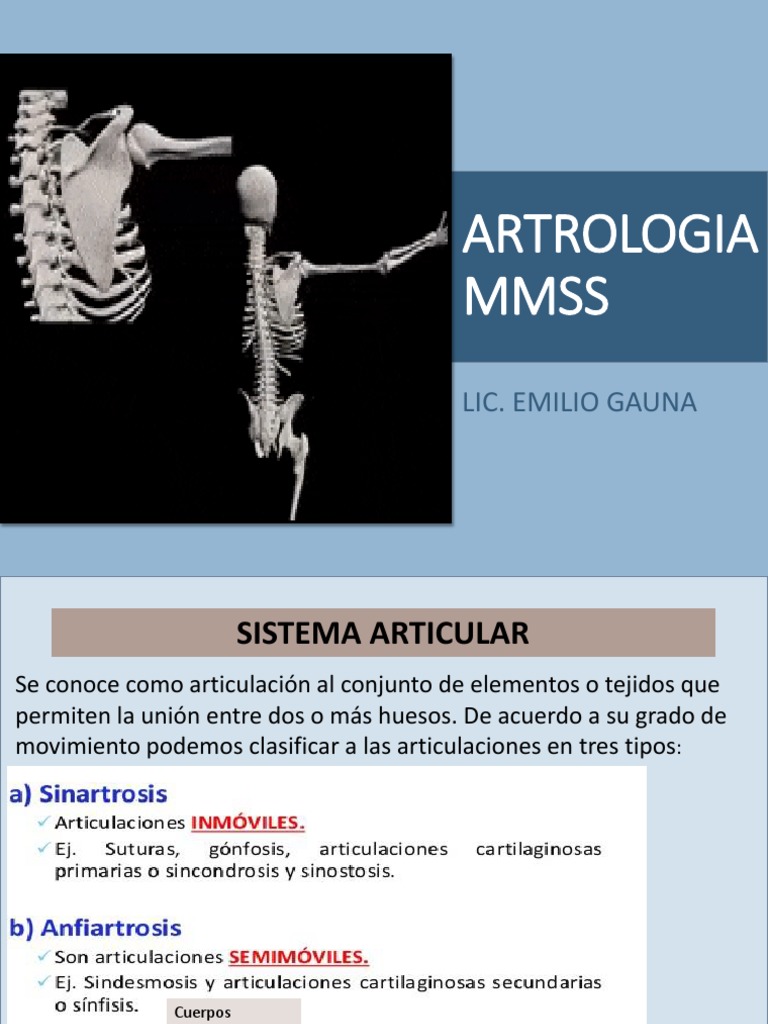 Articulaciones de la MMSS: Hombro, Codo y sus movimientos | PDF | Mano | Articulación