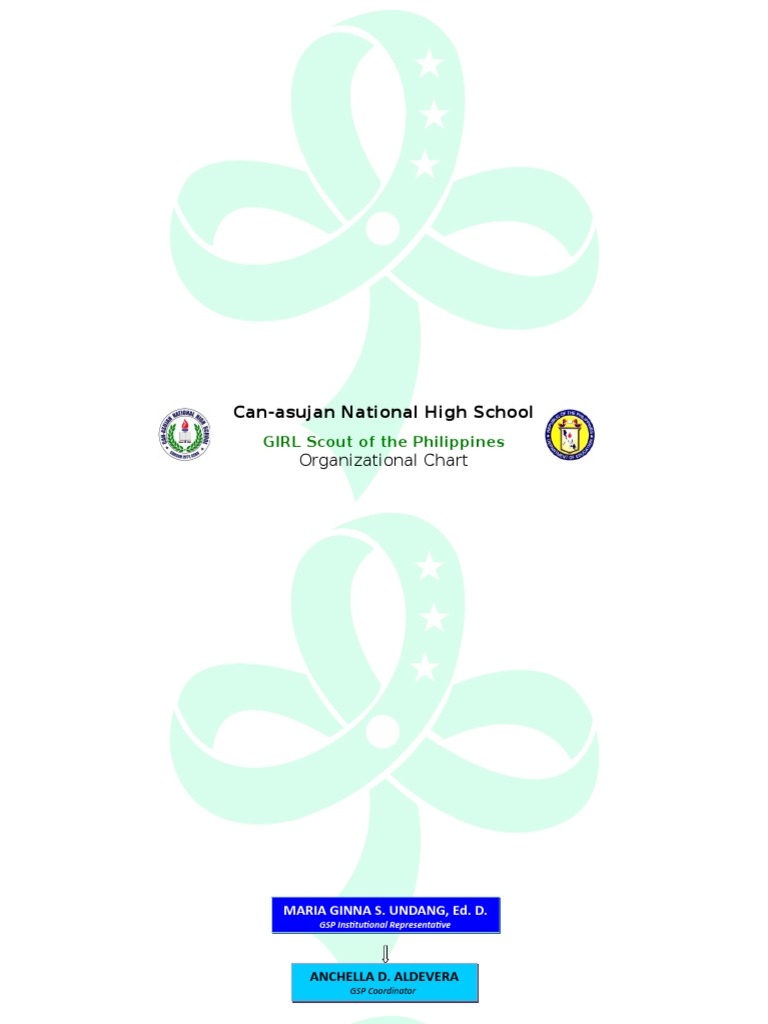 GSP Organizational Chart | PDF