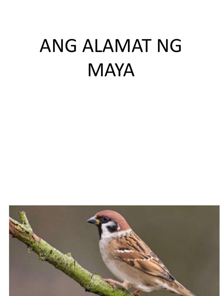 Ang Alamat NG Maya | PDF