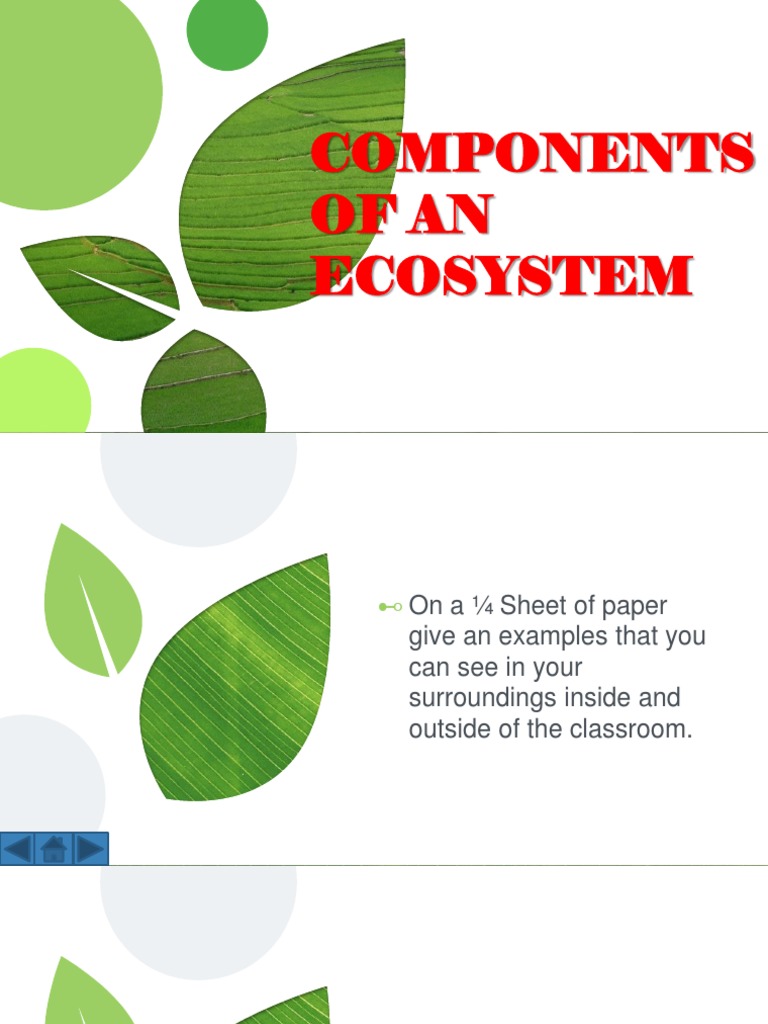 Components of Ecosystem | PDF | Ecological Restoration | Ecosystem