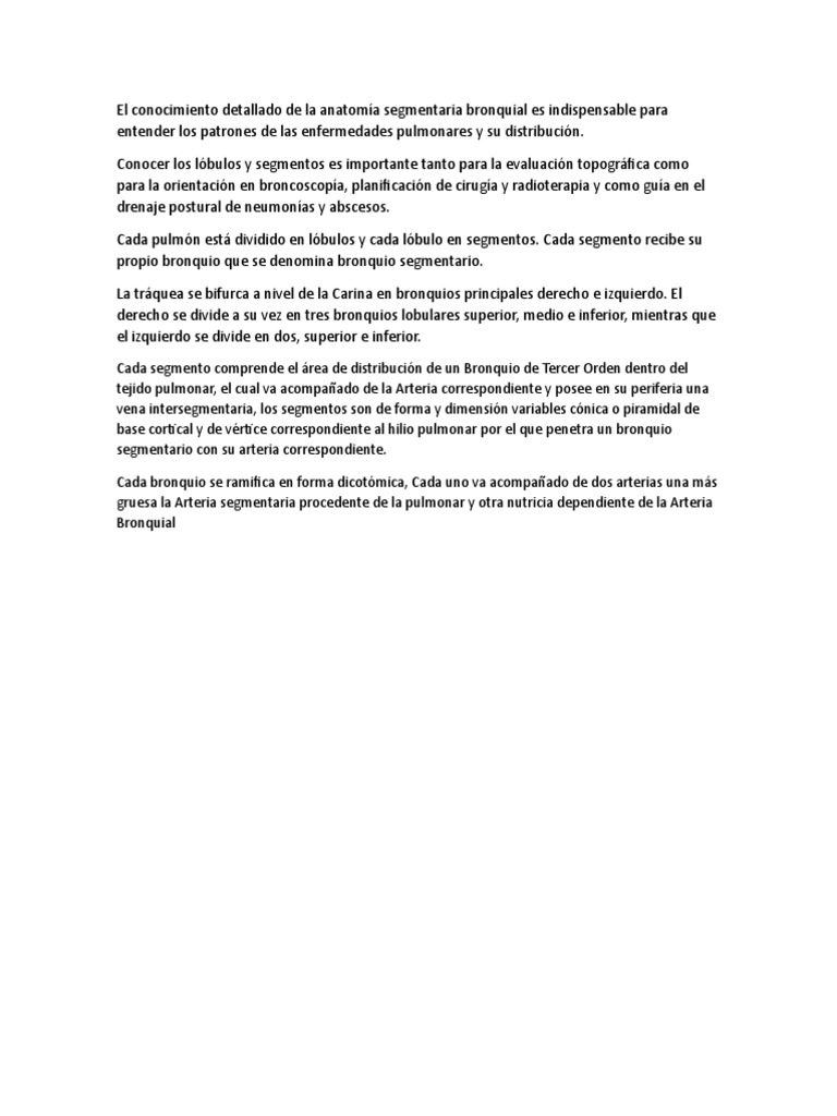 Segmentacion Pdf