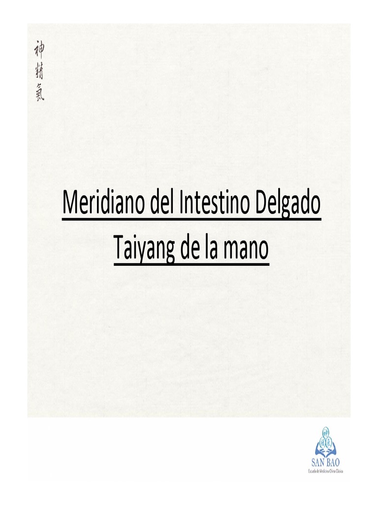 Meridiano del Intestino Delgado y Taiyang | PDF | Hombro | Mano