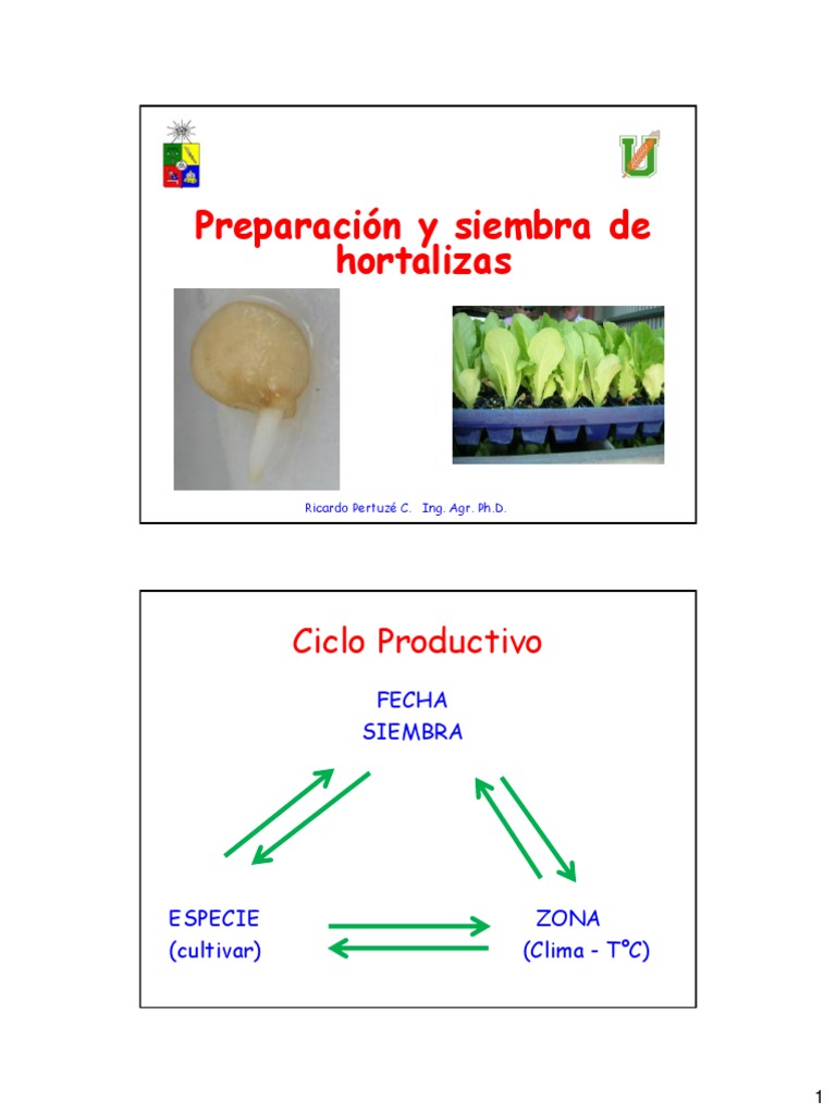 Fechas de Siembra de Hortalizas | PDF | Siembra | Horticultura y jardinería