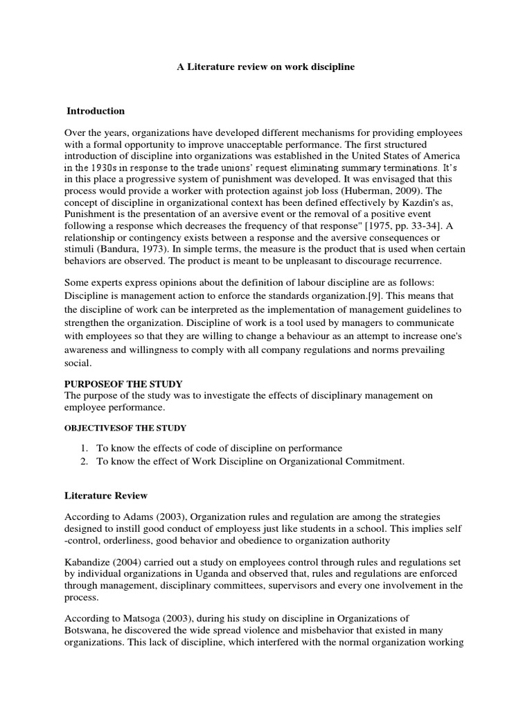 Work Discipline | PDF | Employment | Punishments