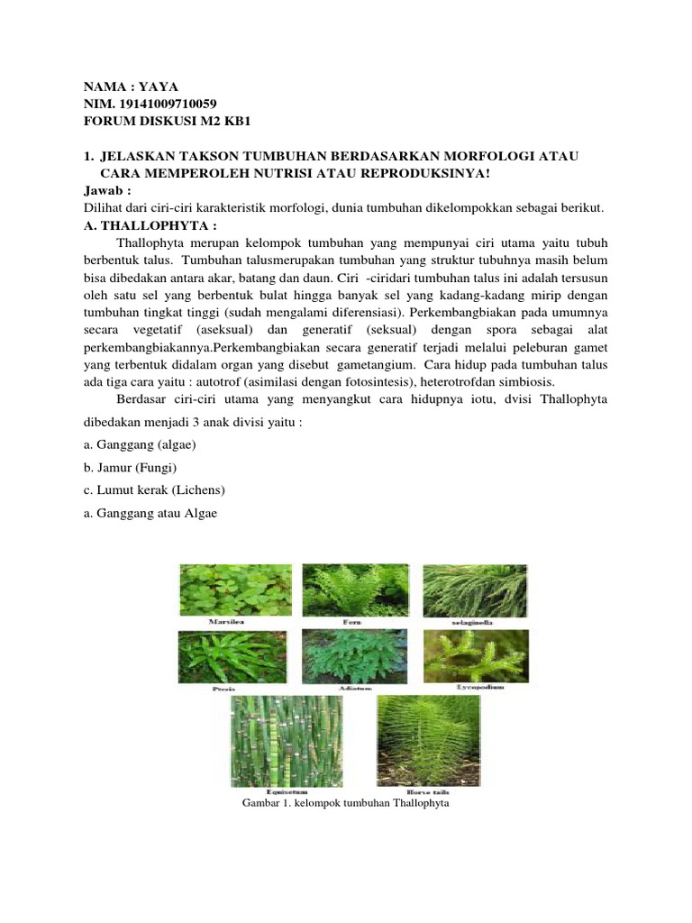 Nama: Yaya NIM. 19141009710059 Forum Diskusi M2 Kb1: Gambar 1. Kelompok Tumbuhan Thallophyta | PDF