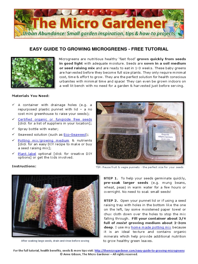 Guide To Growing Microgreens Free Tutorial Download | PDF | Seed | Botany