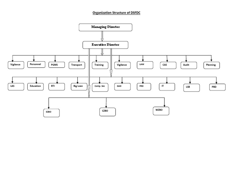 Organisation Structure | PDF