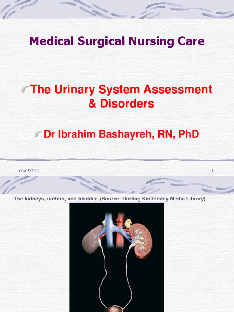 Urinary Tract System Assessment and RF - F | PDF | Hemodialysis | Renal ...