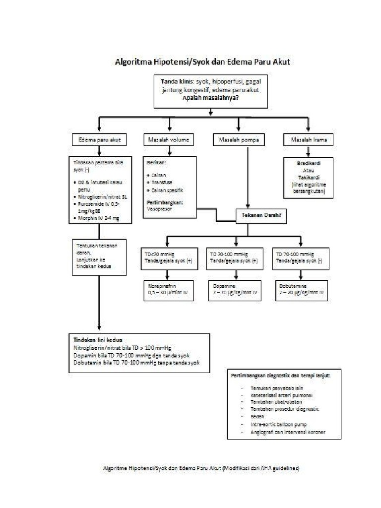 Alogaritme Edema Paru | PDF