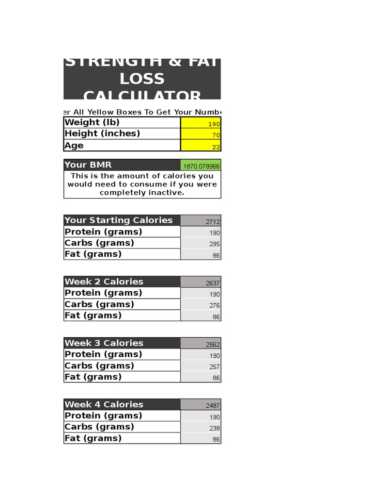 Kizen Training - Macro Calculator | PDF