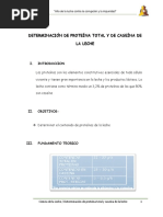 Ficha Tecnica API 50CH Medium | PDF | Laboratorios