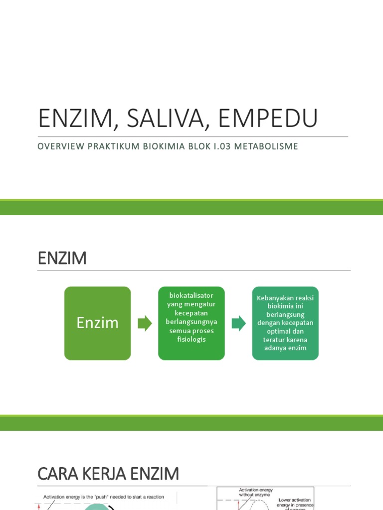 Ov Enzim, Saliva, Empedu | PDF