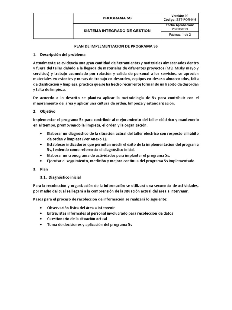 Implementacion de Programa 5s | PDF | Naturaleza