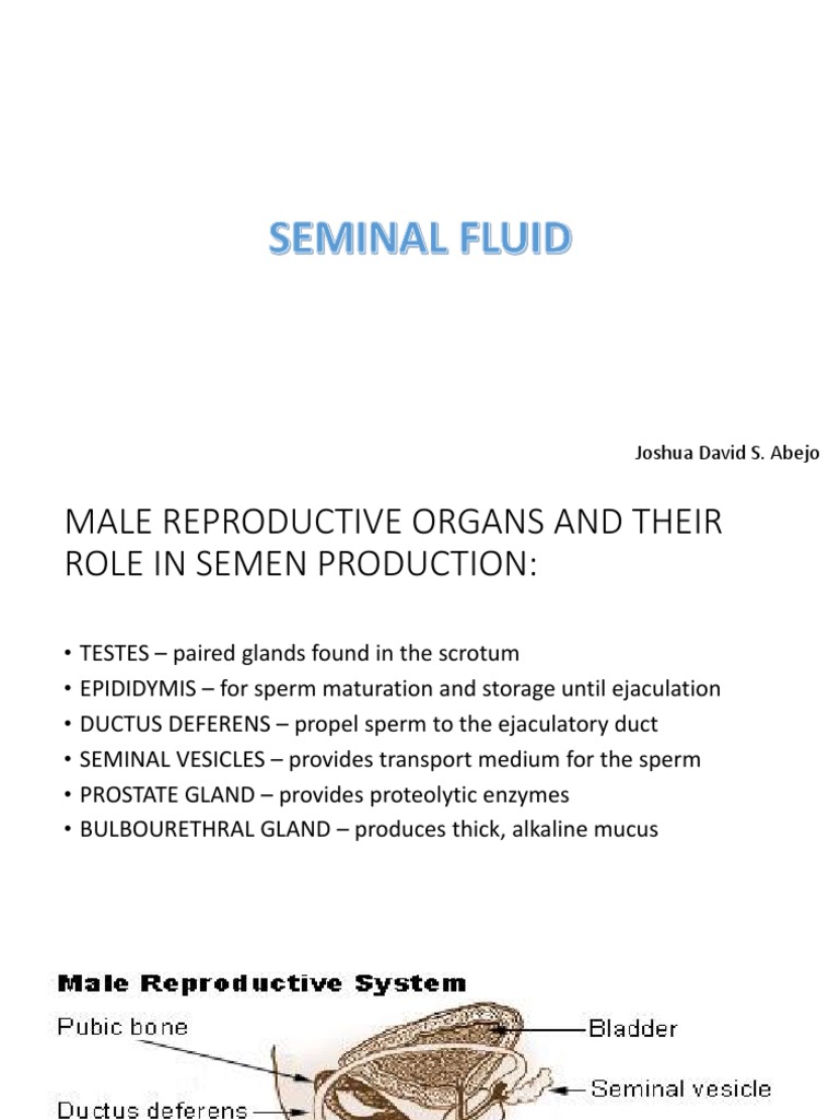 Sperm Analysis | PDF | Semen | Andrology