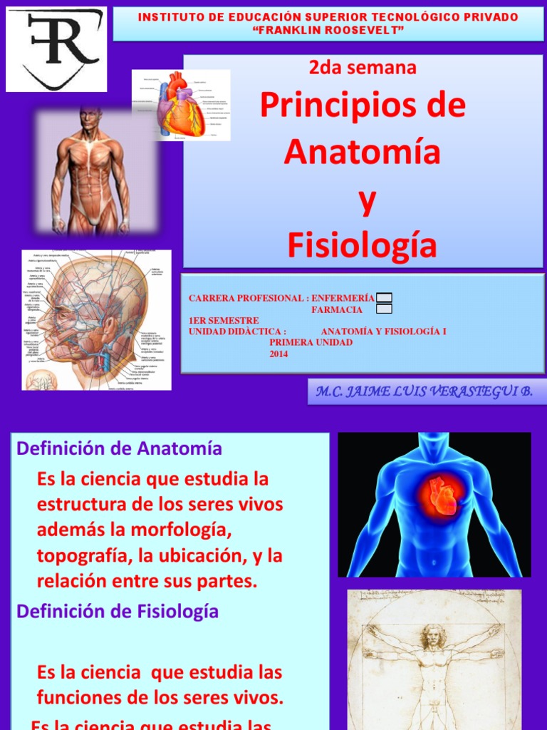 2DA SEMANA ANATOMIA Y FISIOLOGIA-imprimir Diapositivas para El Jueves ...