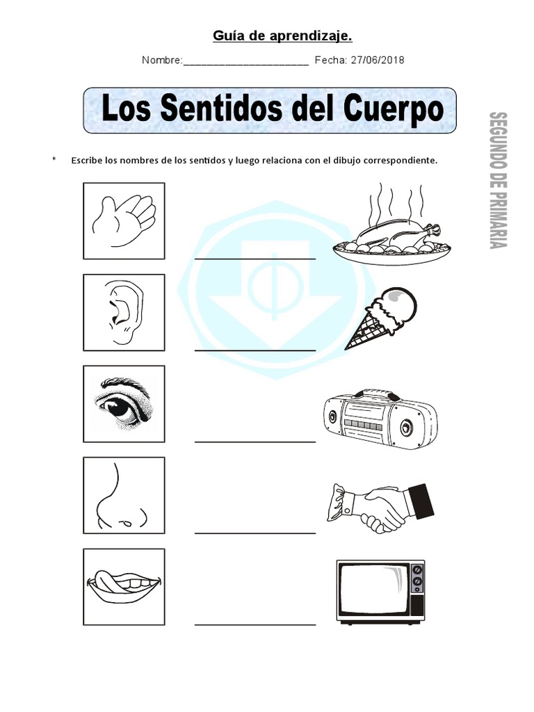 Guía de Los Sentidos | PDF | Estudios de idiomas extranjeros