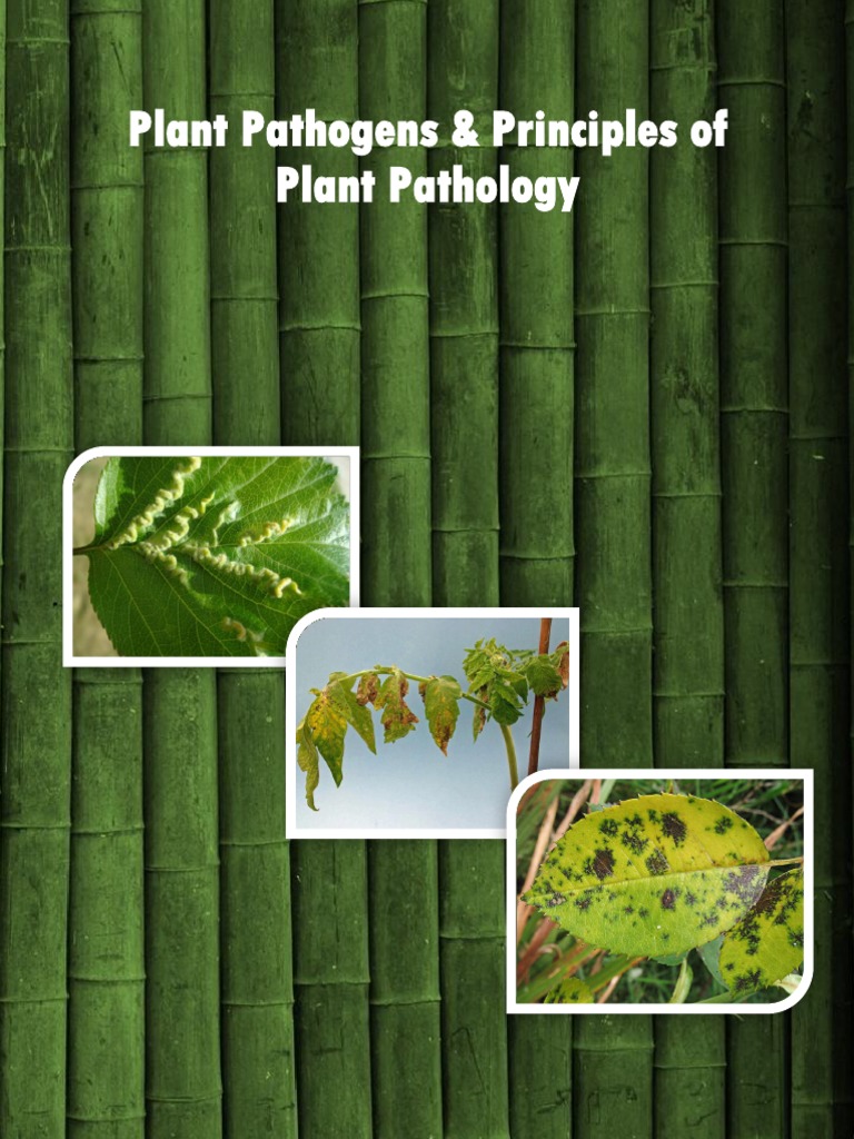 Plant Pathogens Principles of Plant Pathology | Download Free PDF ...
