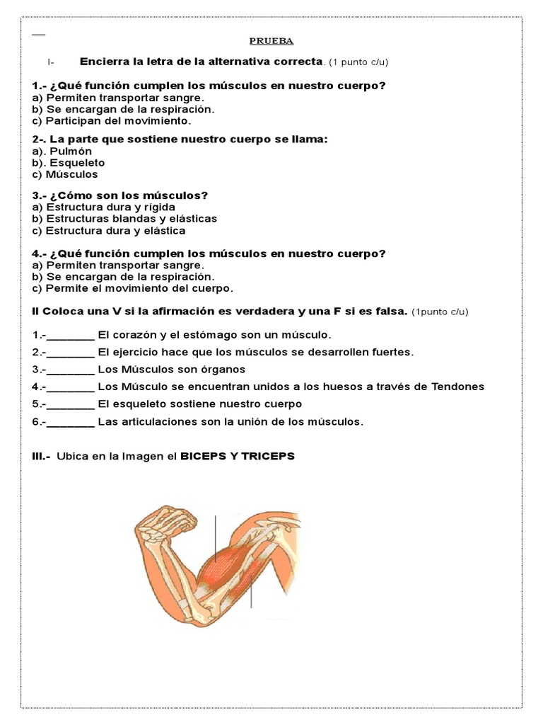 Examen del Sistema Muscular Infantil | PDF