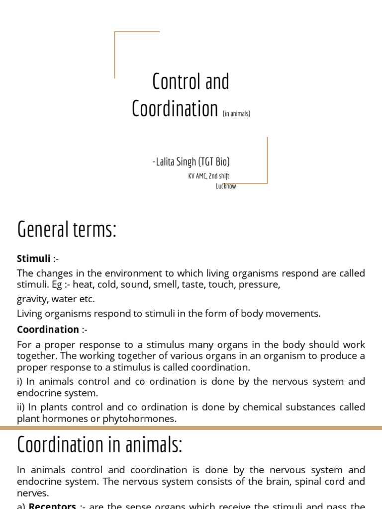 Control and Coordination | PDF | Central Nervous System | Nervous System