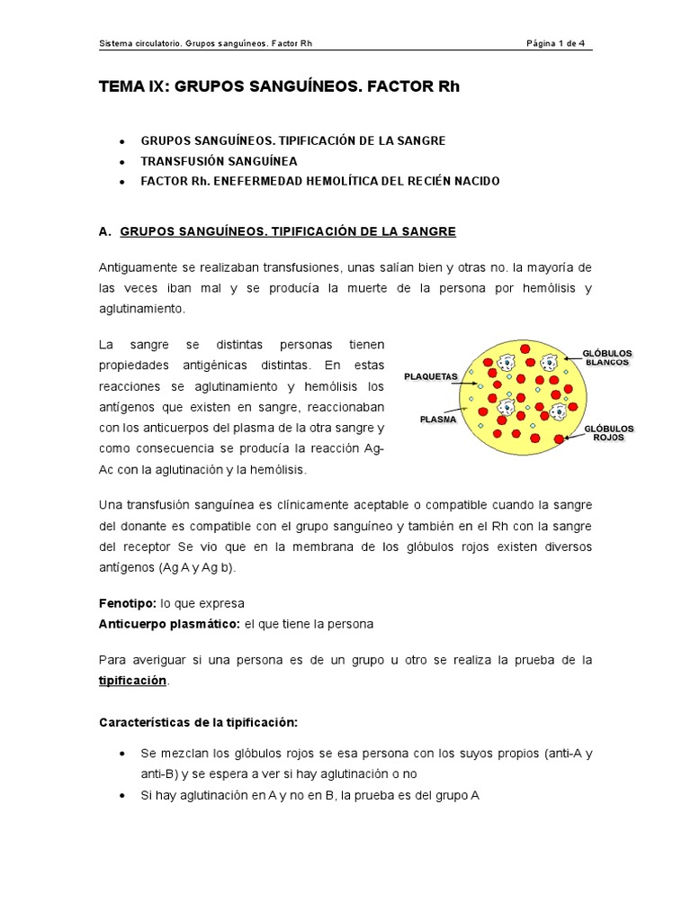 Grupos Sanguineos Factor RH | PDF | Tipo de sangre | Inmunología